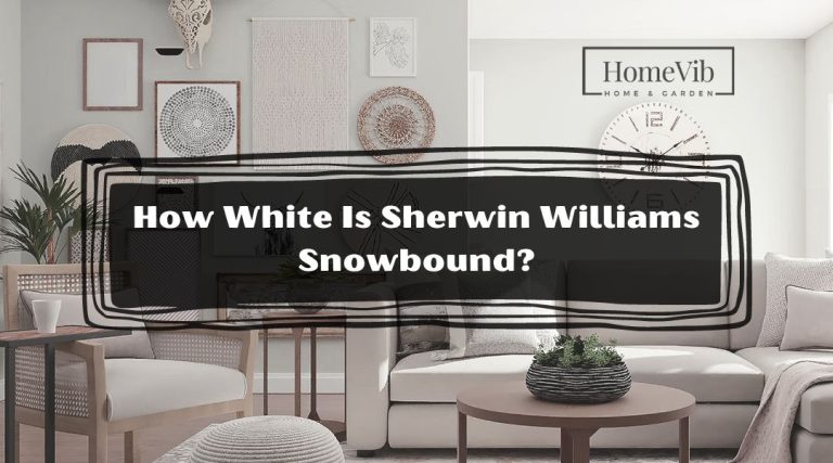 How White Is Sherwin Williams Snowbound? - HomeVib