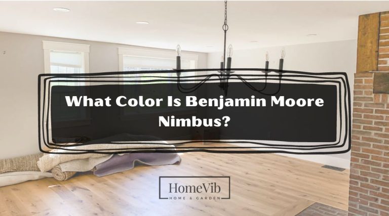 What Color Is Benjamin Moore Nimbus? - HomeVib