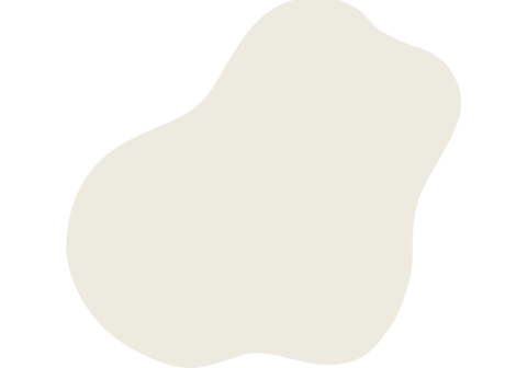 How White Is Sherwin Williams Snowbound? - HomeVib