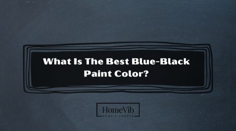 What Is The Best Blue-Black Paint Color? (Top Color Combinations) - HomeVib