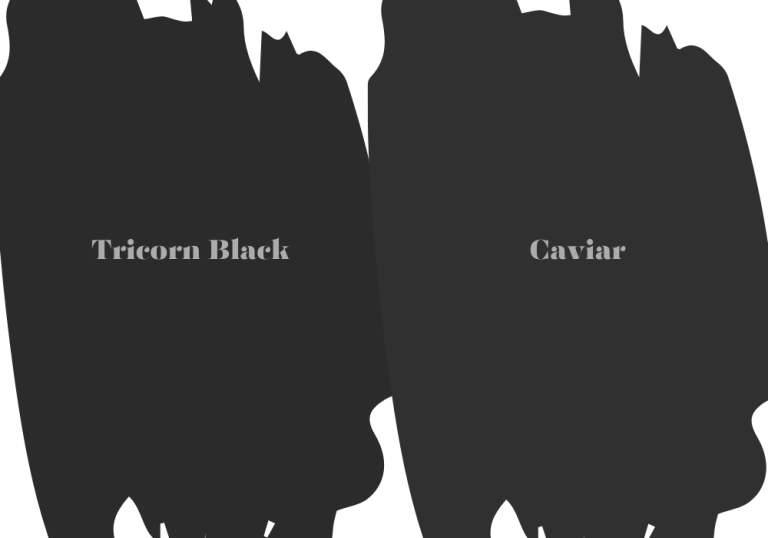 Tricorn Black Vs Caviar