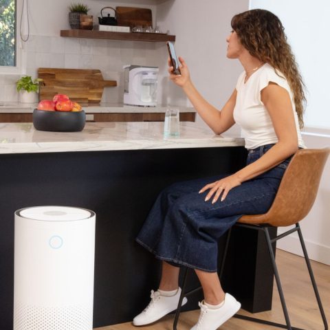 What is the Difference Between a Flat Jamb And a Split Jamb? - HomeVib